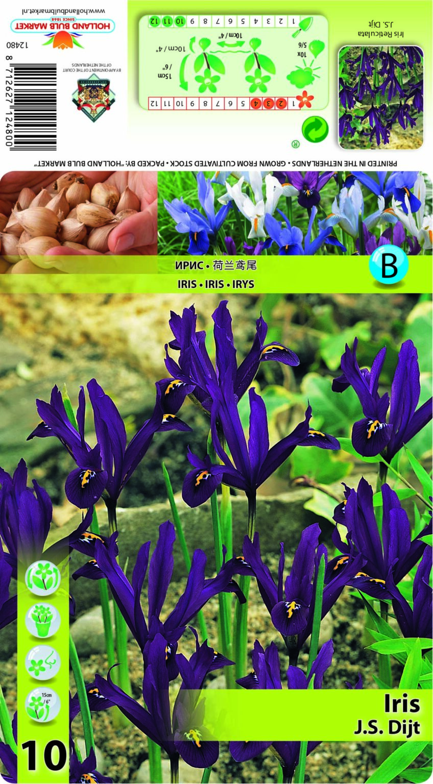 Võrkiiris J.S. Dijt 10 tk | Maarahvapood